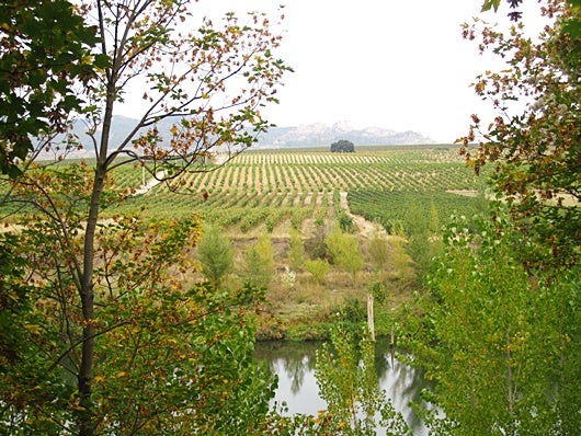 A Guide to Wine Tasting Through Spain's Rioja Region - The Points Guy