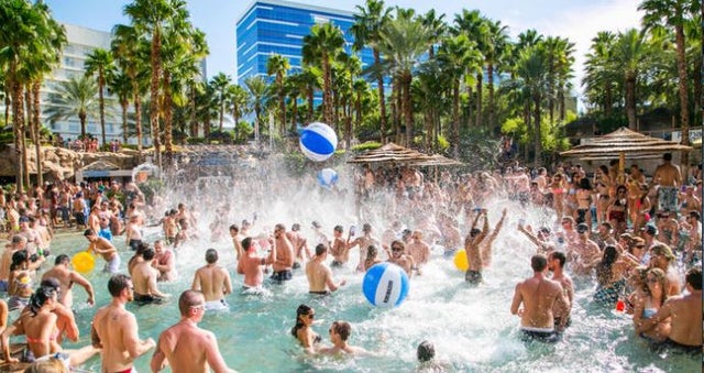 Dive Into The Best Hotel Pools In America - The Points Guy