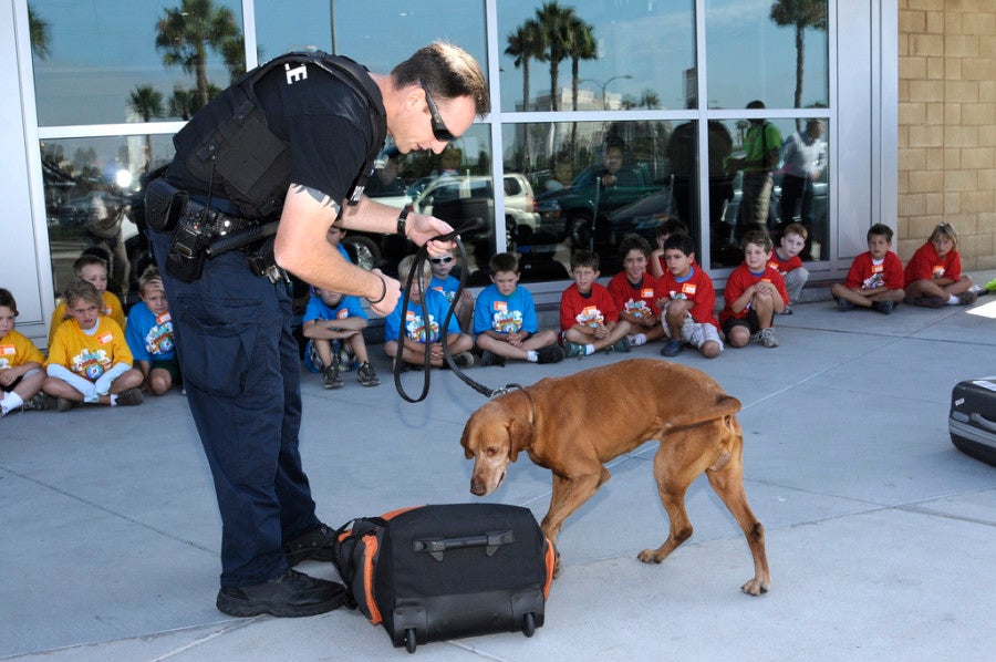 Insider Series: Does TSA Security Screening Really Work? - The Points Guy