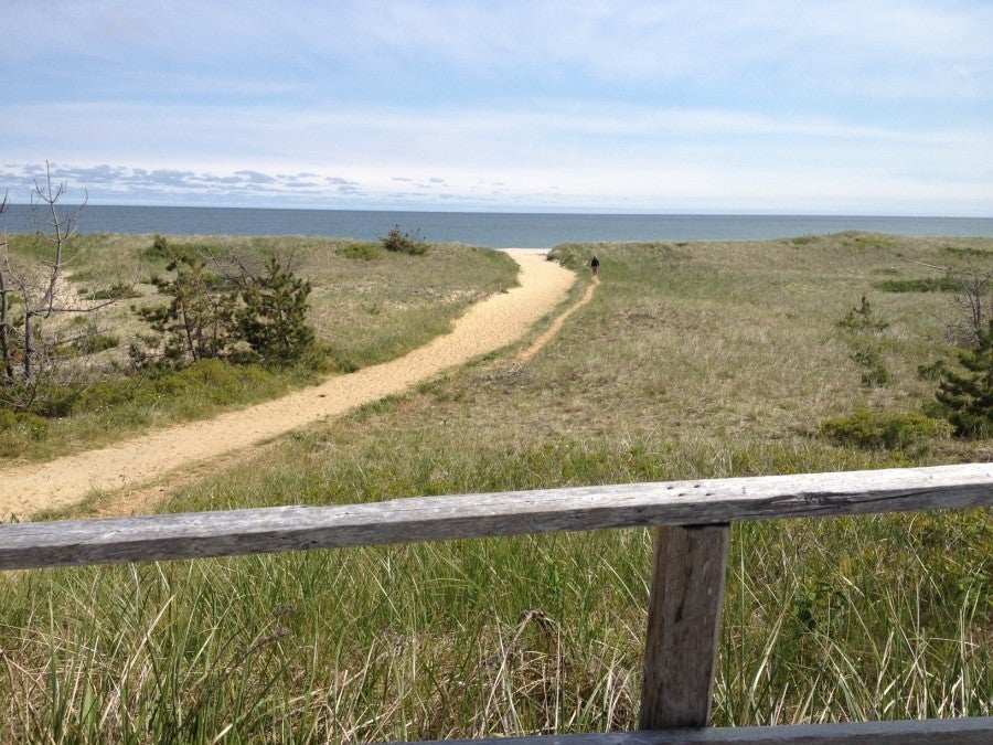 Kick Back On Nantucket Island This Summer - The Points Guy