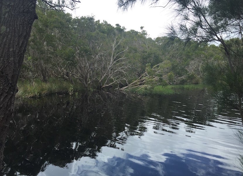 10 Photos: Exploring Byron Bay, Australia - The Points Guy