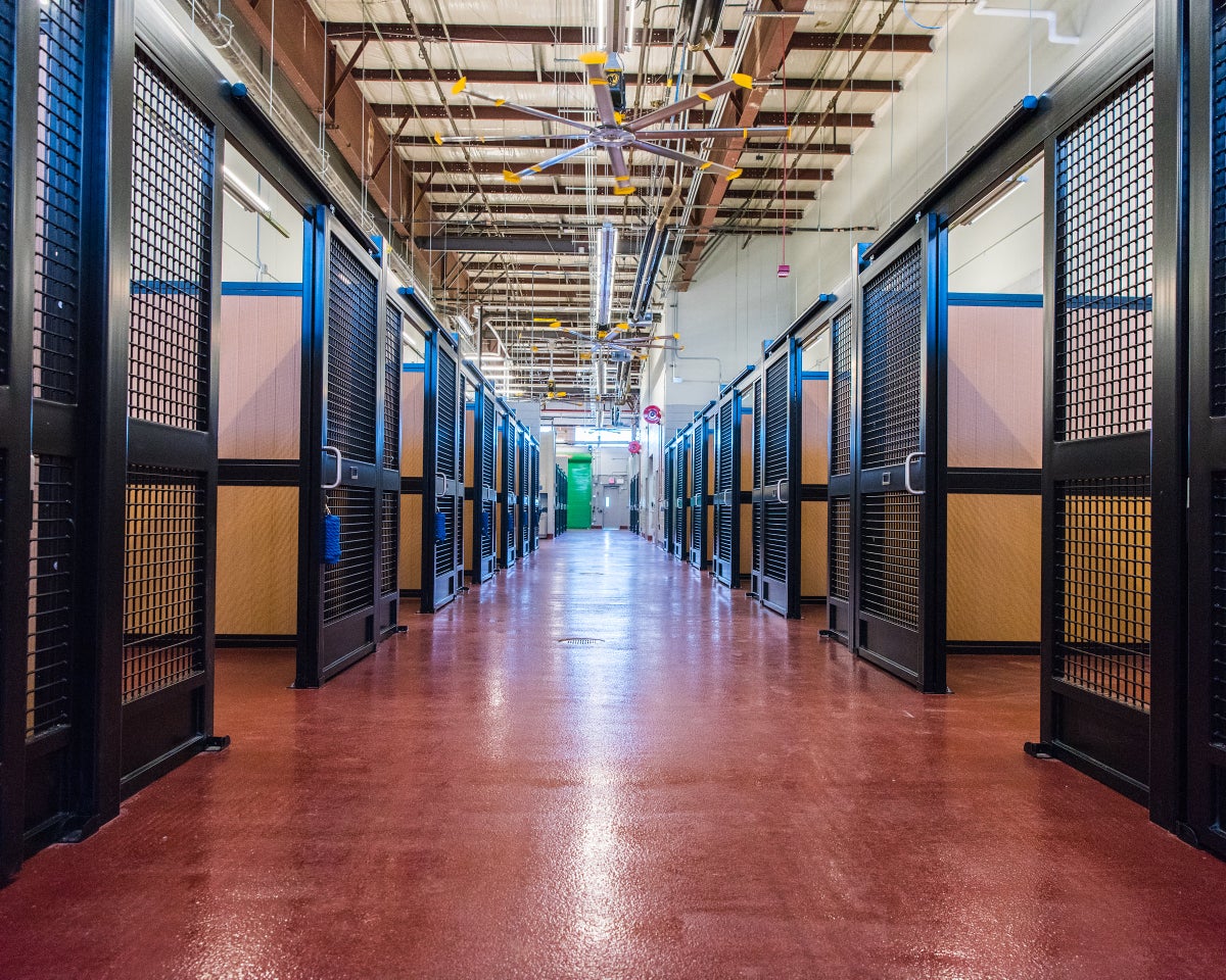 $65 Million Animal Terminal Opens at JFK, With "Pet Oasis" - The Points Guy