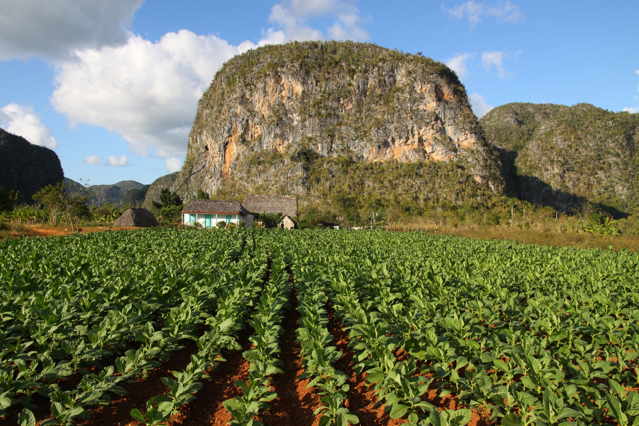 5 Reasons to Visit Viñales on Your Next Trip to Cuba - The Points Guy