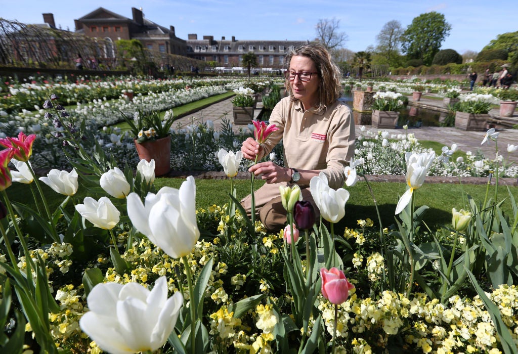 A Peek Inside London's New Princess Diana Memorial Garden - The Points Guy