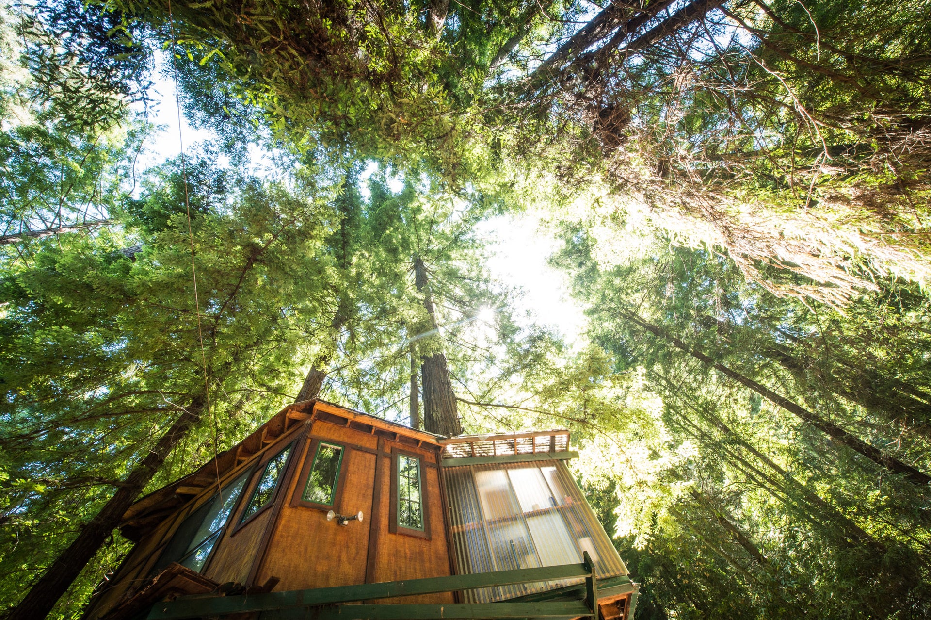 11 Treehouses You Can Actually Stay In - The Points Guy