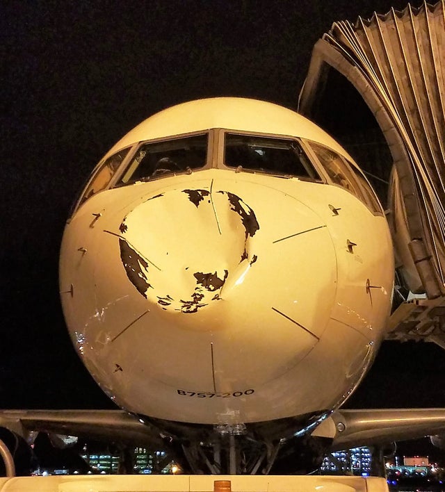Basketball Team's Plane Hit By Object En Route to Chicago - The Points Guy