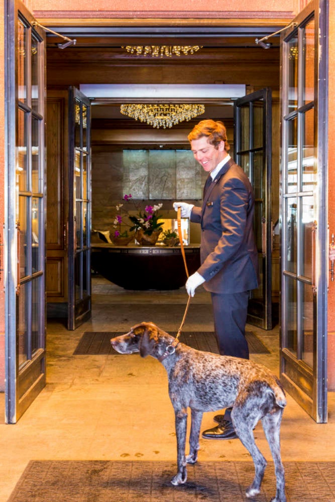 10 of the Best Perks for Dogs in Hotels Across the United States - The ...