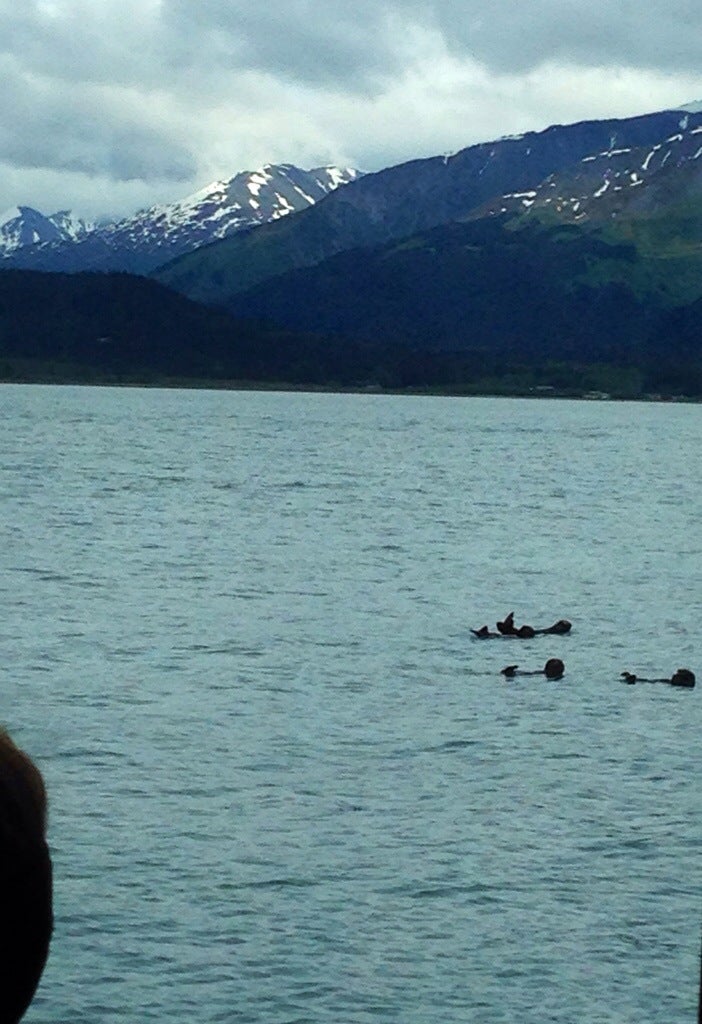 Family Friendly Activities and Restaurants in Seward, Alaska - The ...