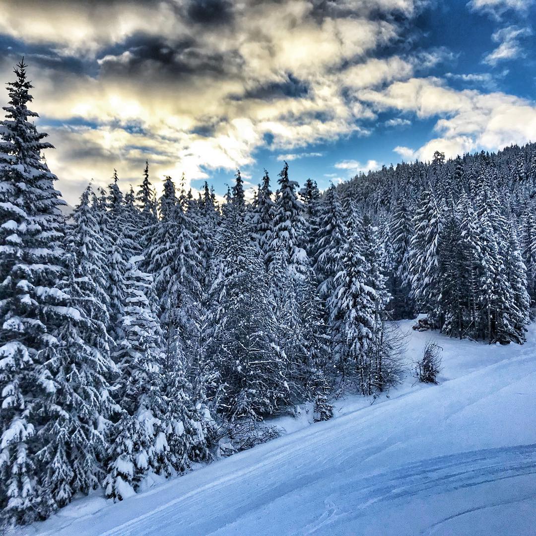 Planning a Winter Ski Trip to Whistler Using Miles and Points - The ...