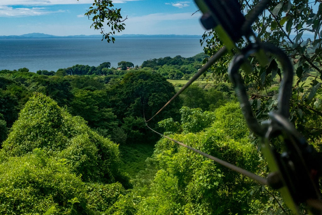 Tourist Killed in Honduras in Cruise Zip-Line Accident - The Points Guy