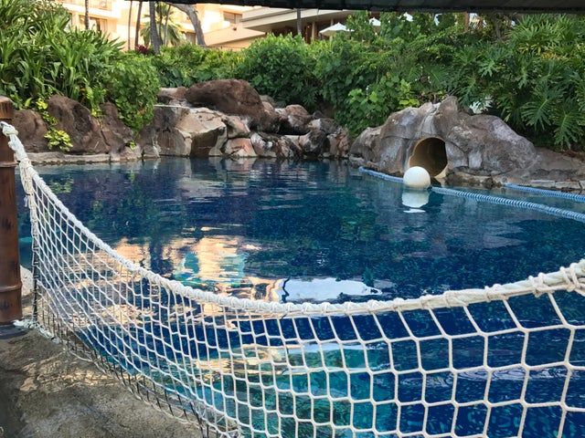 Which is Better? Hyatt Regency Maui or Andaz Maui - The Points Guy