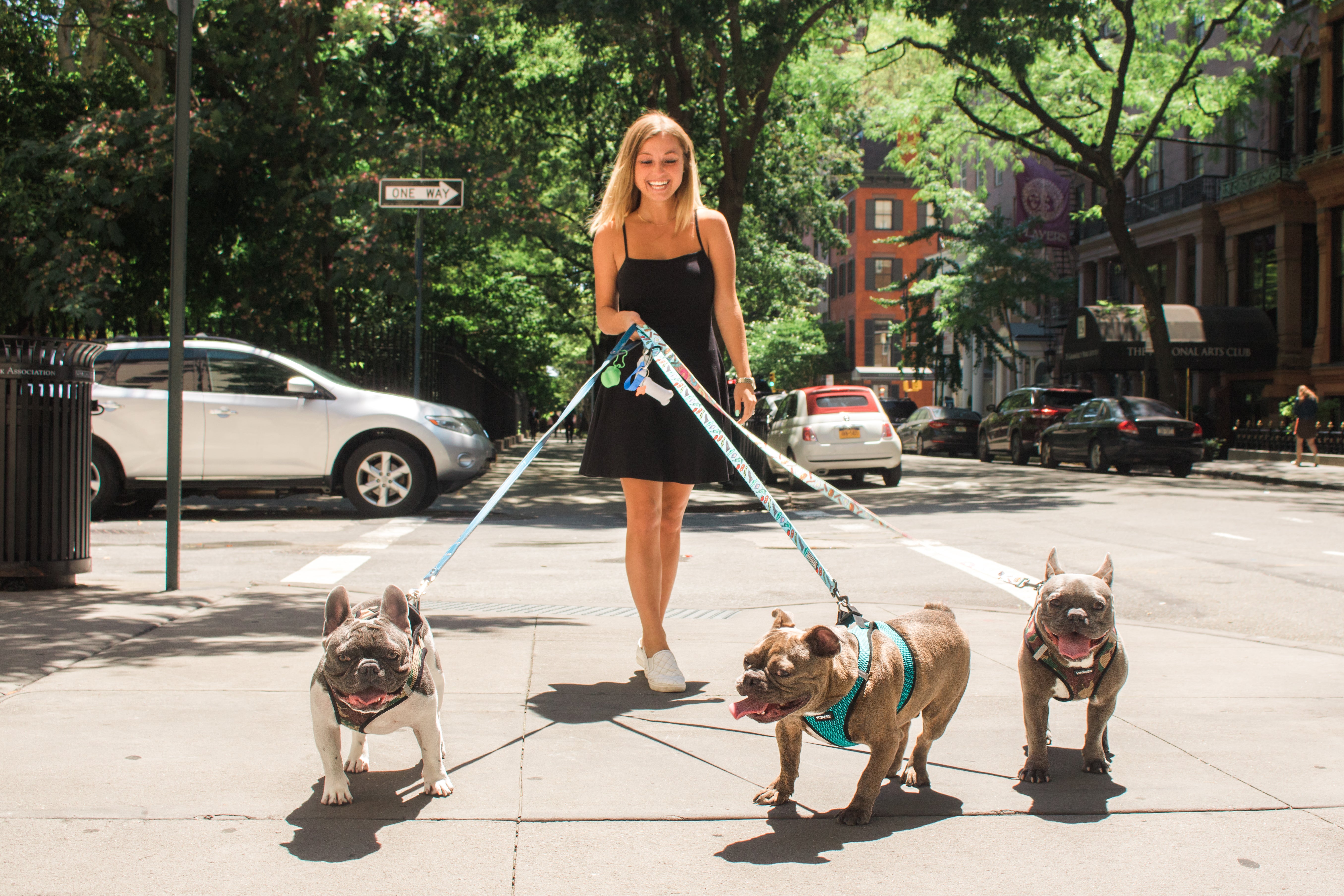 Delta Integrates CarePod Tech to Better Monitor Pet Travel - The Points Guy