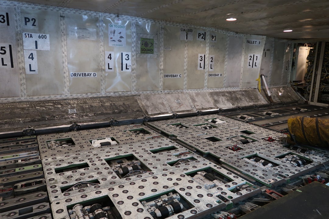 Suitcases, dogs, avocados and coffins: What's really traveling in the ...