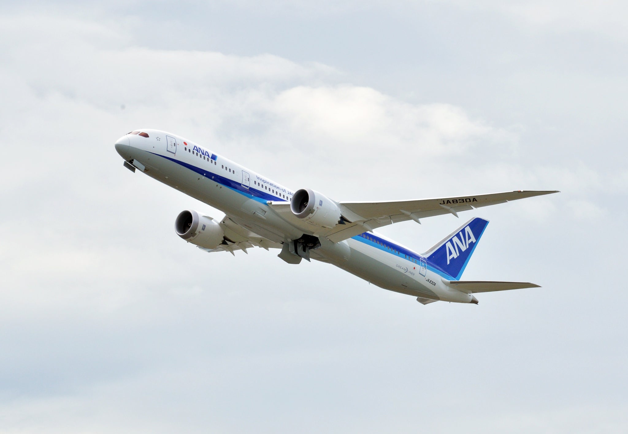Boeing 787 Suffers Rare Dual Engine Failure on Landing - The Points Guy