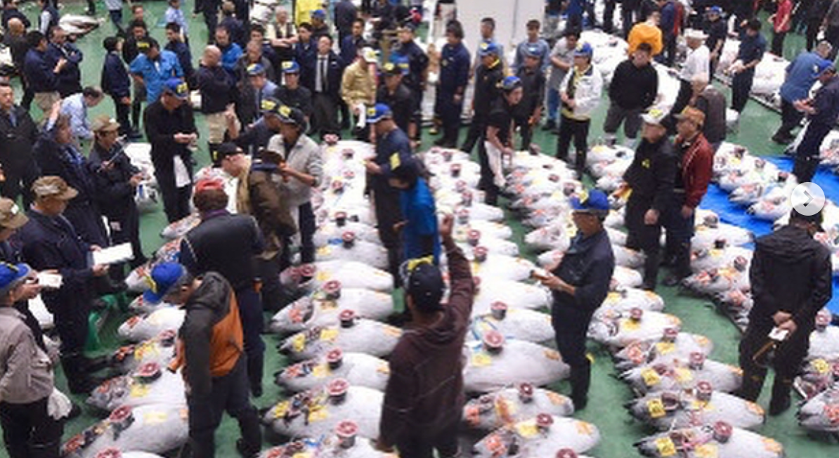 Tokyo's Famous Fish Market Reopens at New Location - The Points Guy