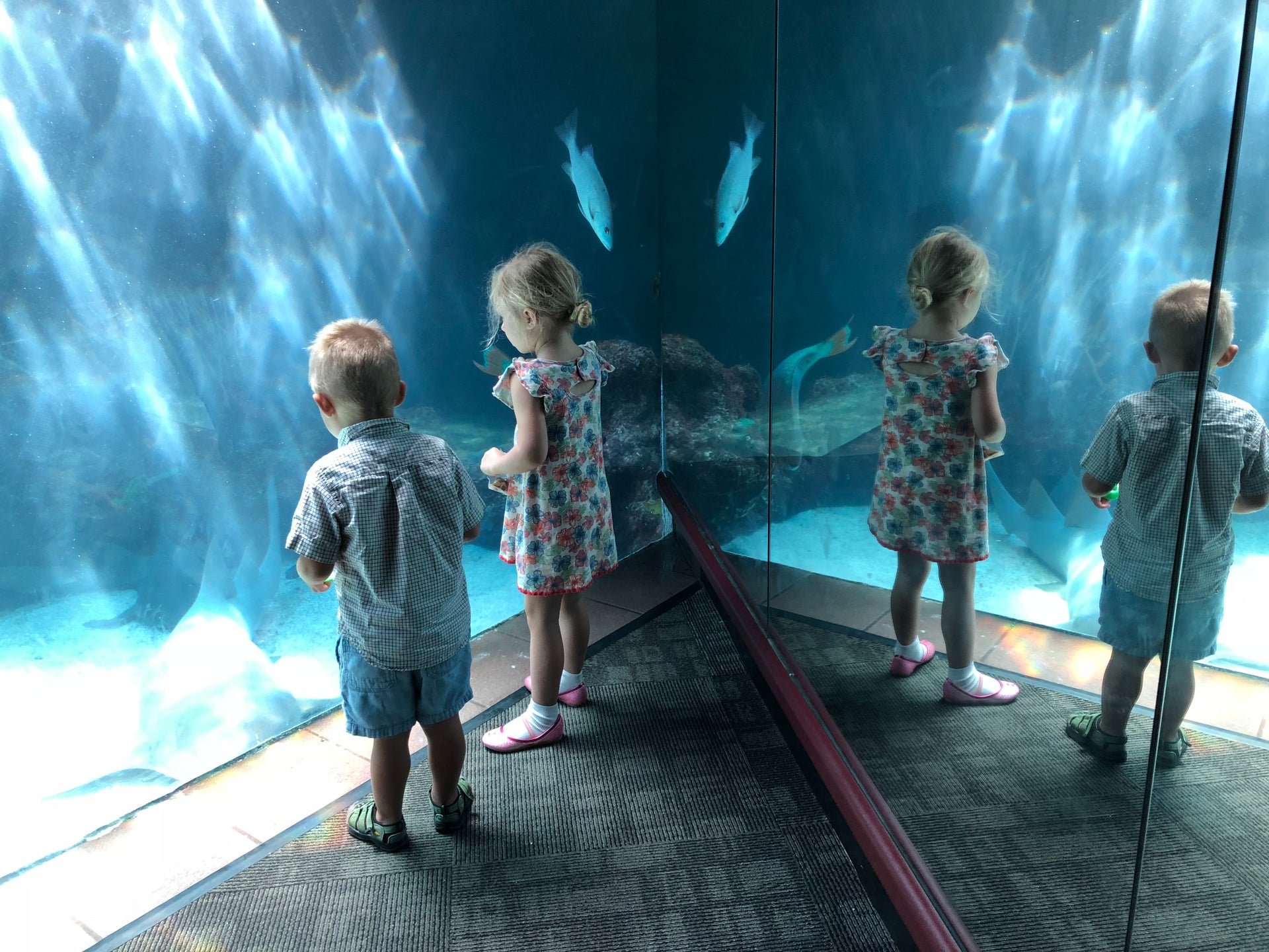 Best Things to Do in Bermuda With Kids: Explore the Island Like a Local ...