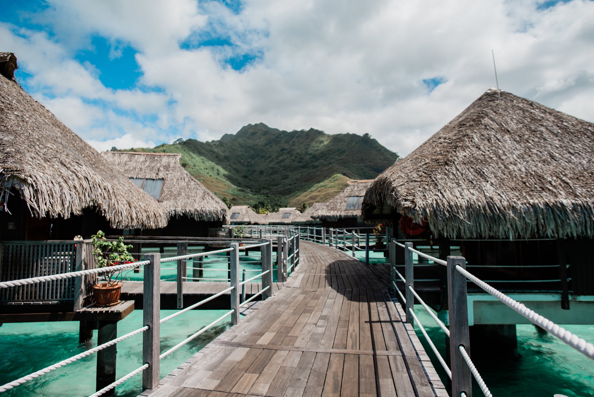 Review: Hilton Moorea Lagoon Resort and Spa - The Points Guy