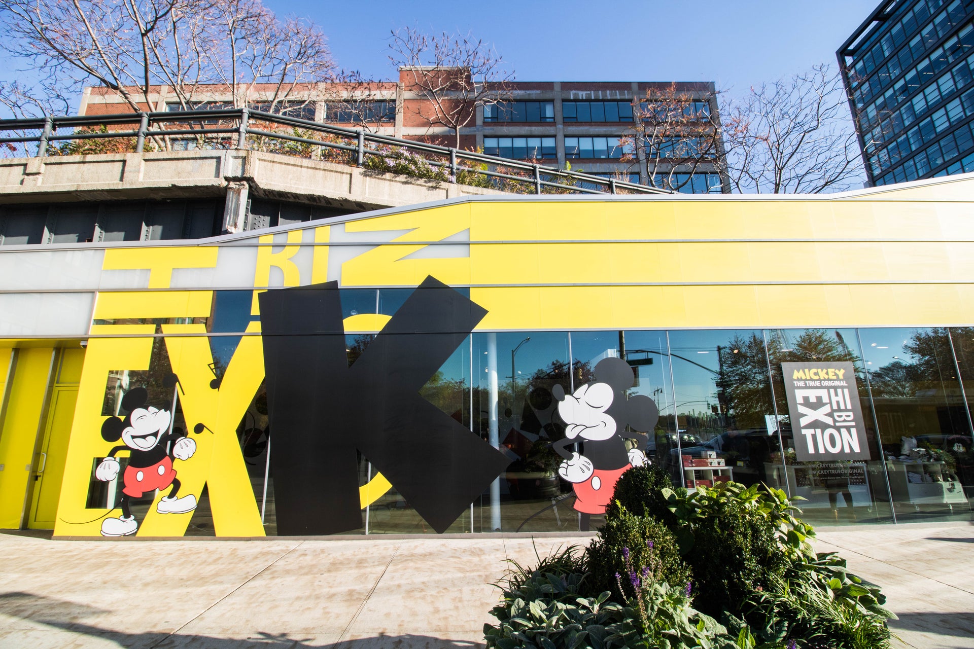 Disney’s Limited-Time Pop-Up Brings Mickey to NYC - The Points Guy