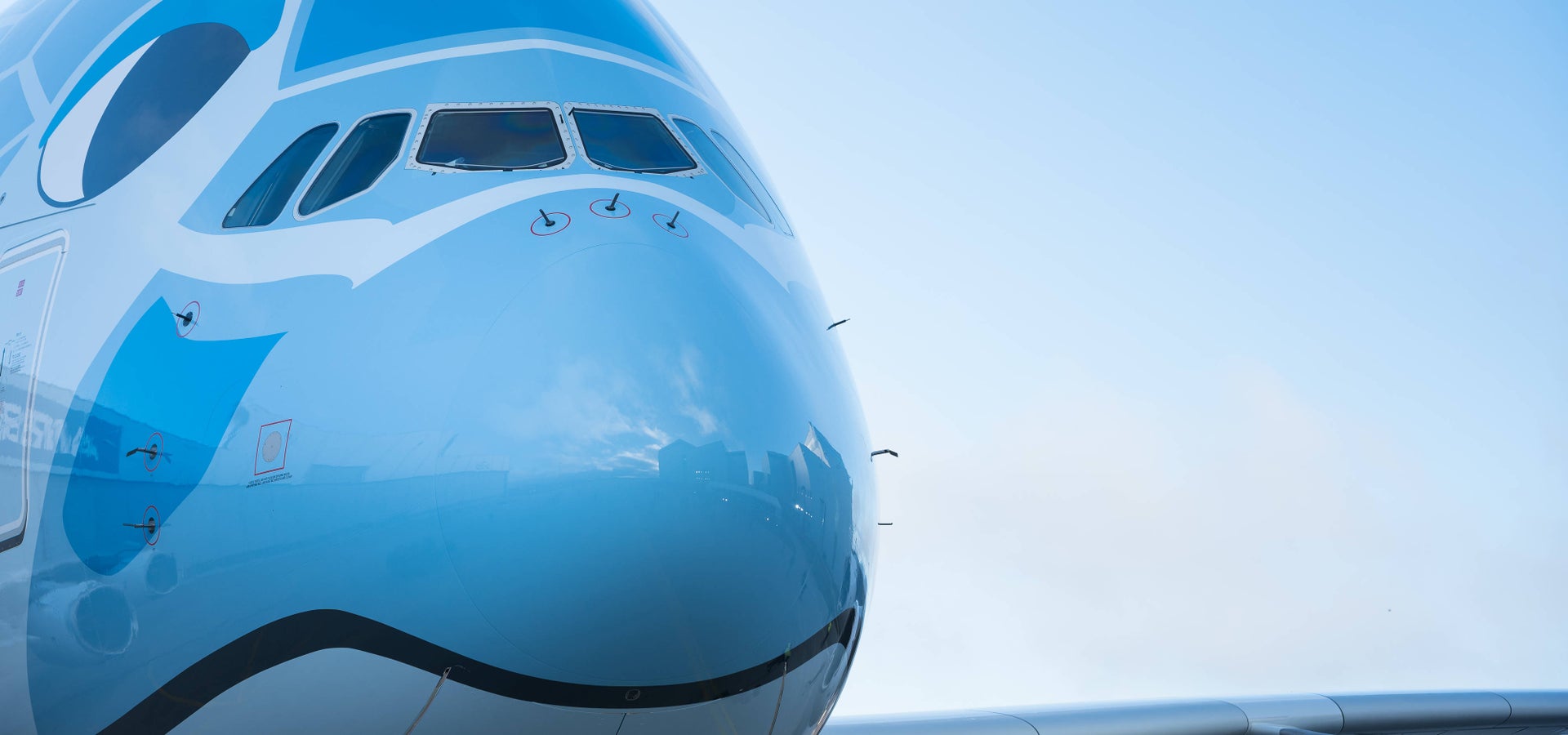 It's Finally Here: ANA Shows off Its Epic Flying Honu A380 Livery - The ...