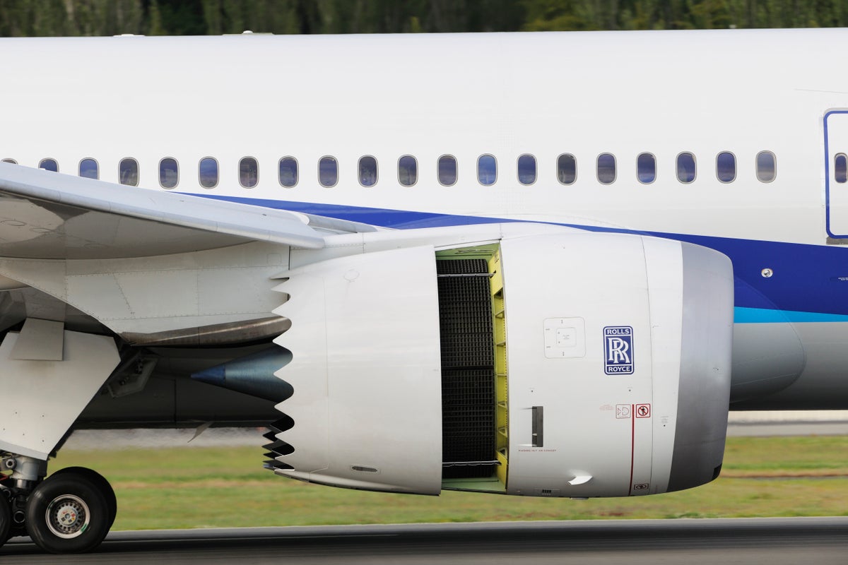 Boeing 787 Suffers Rare Dual Engine Failure on Landing - The Points Guy