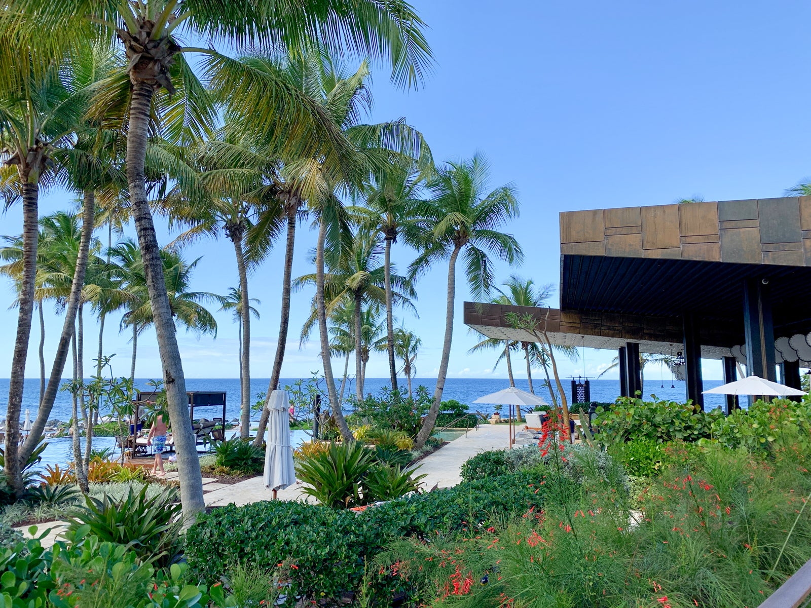 A Review of Dorado Beach, A Ritz-Carlton Reserve - The Points Guy
