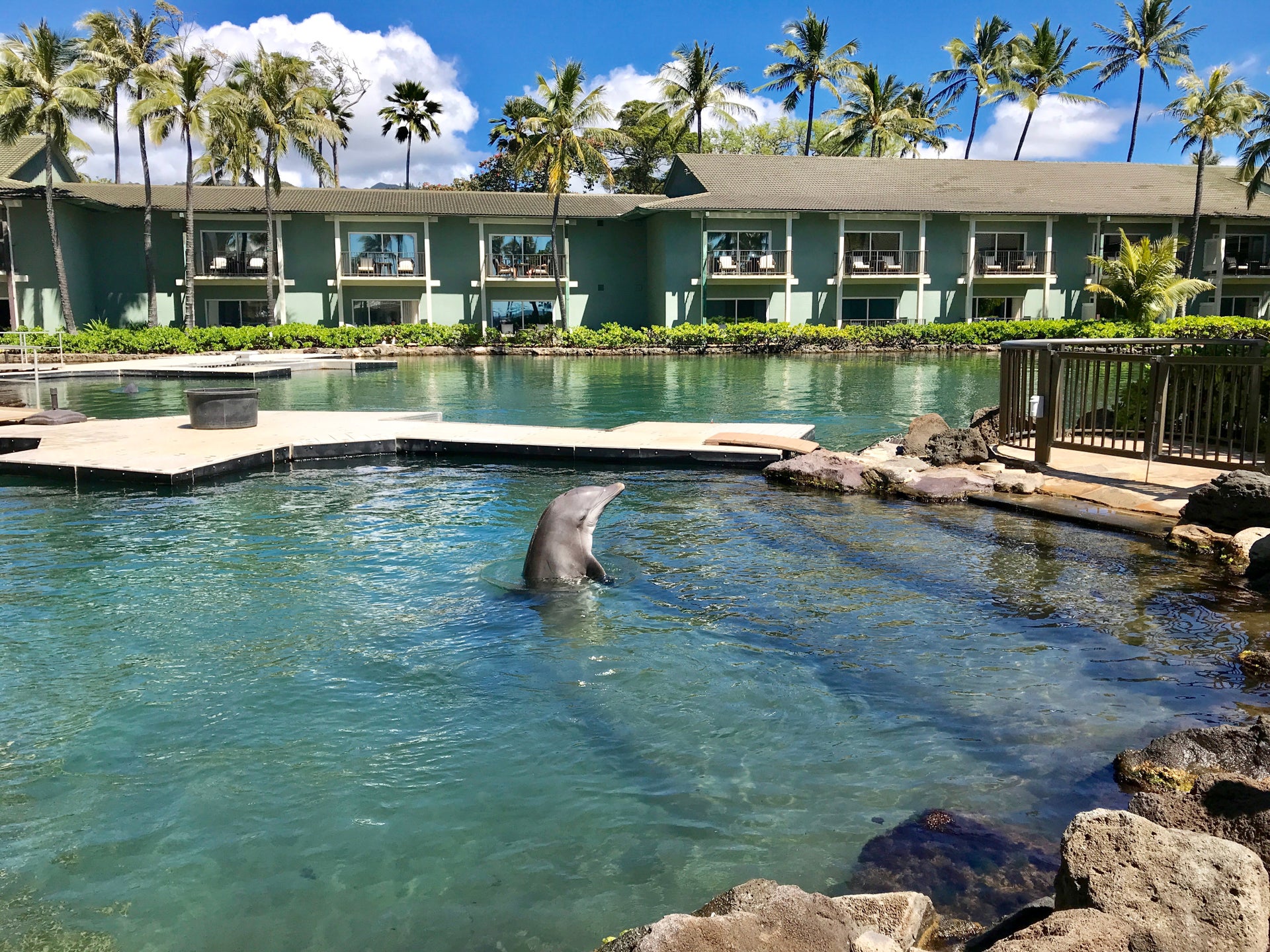 Waikiki Fun for LGBTQ Families - The Points Guy