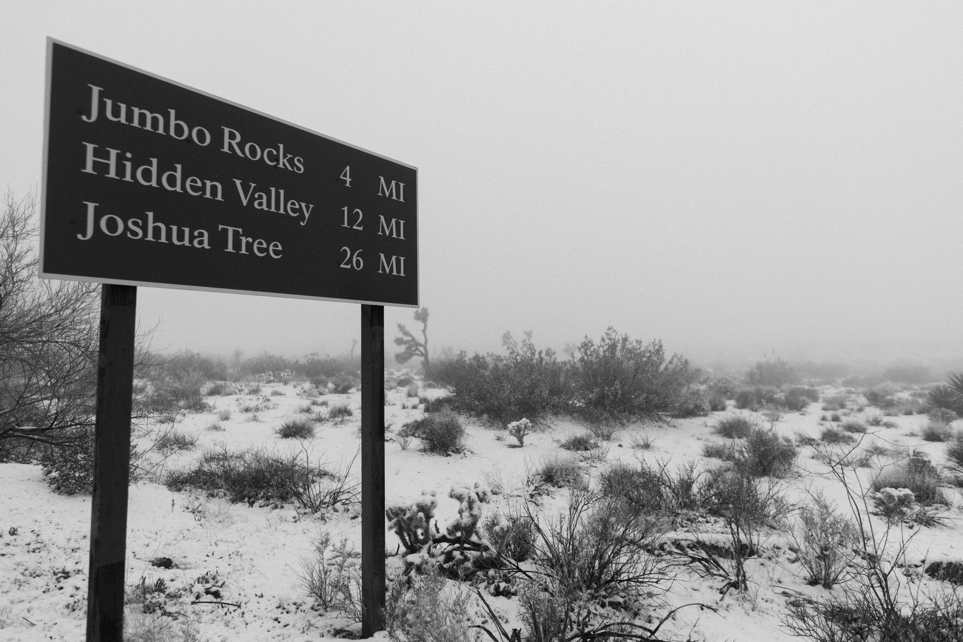 Photos: Joshua Tree Is a Winter Wonderland After Rare Snowstorm - The ...
