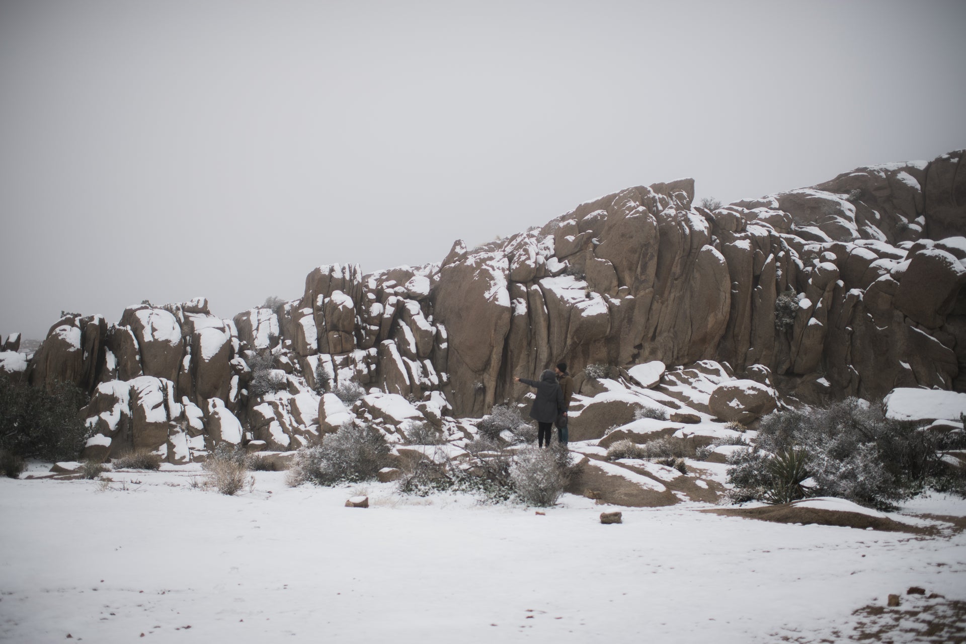 Photos: Joshua Tree Is a Winter Wonderland After Rare Snowstorm - The ...