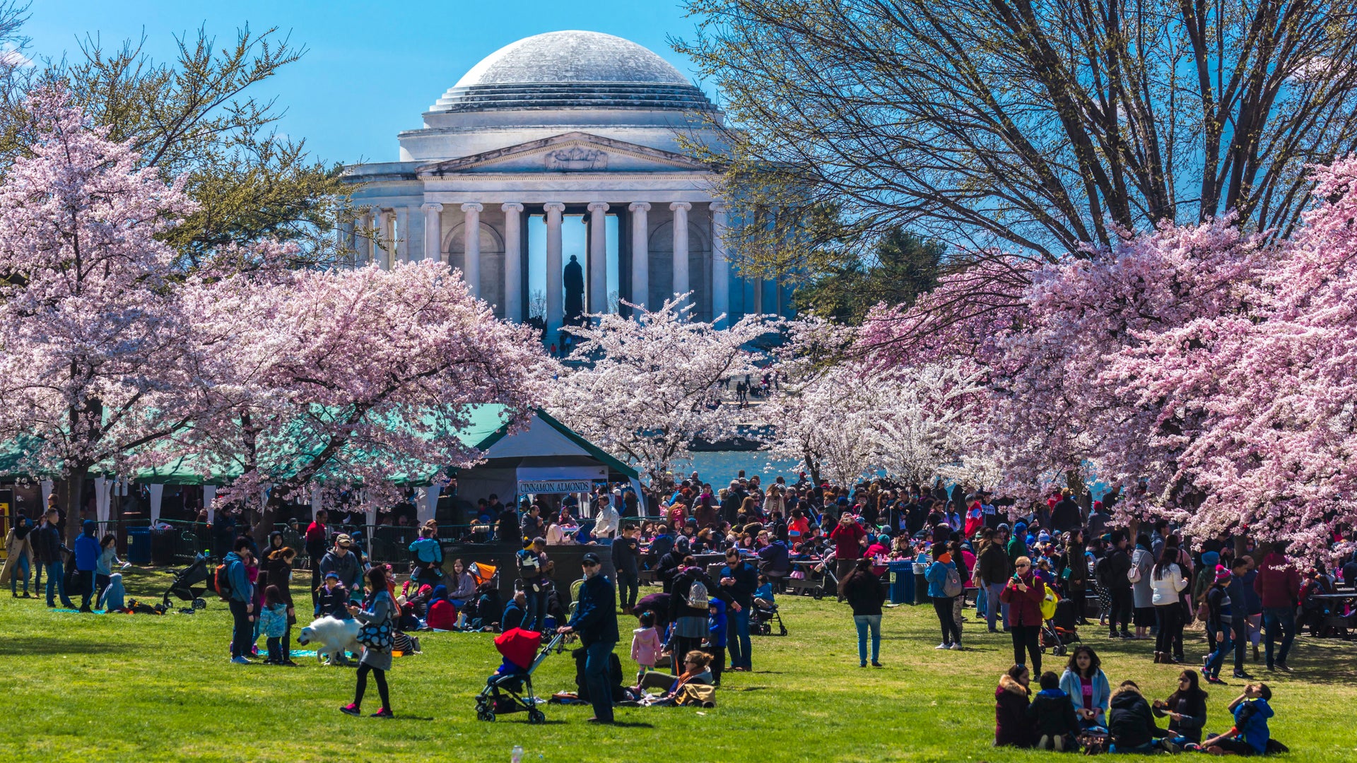 Register for first Return to Travel webinar with head of Destination DC ...