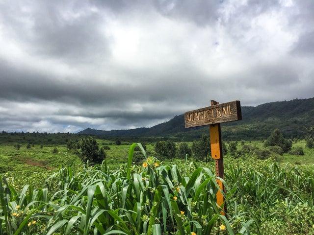 Off the Beaten Path: Tips on Visiting and Exploring Lanai, Hawaii - The ...