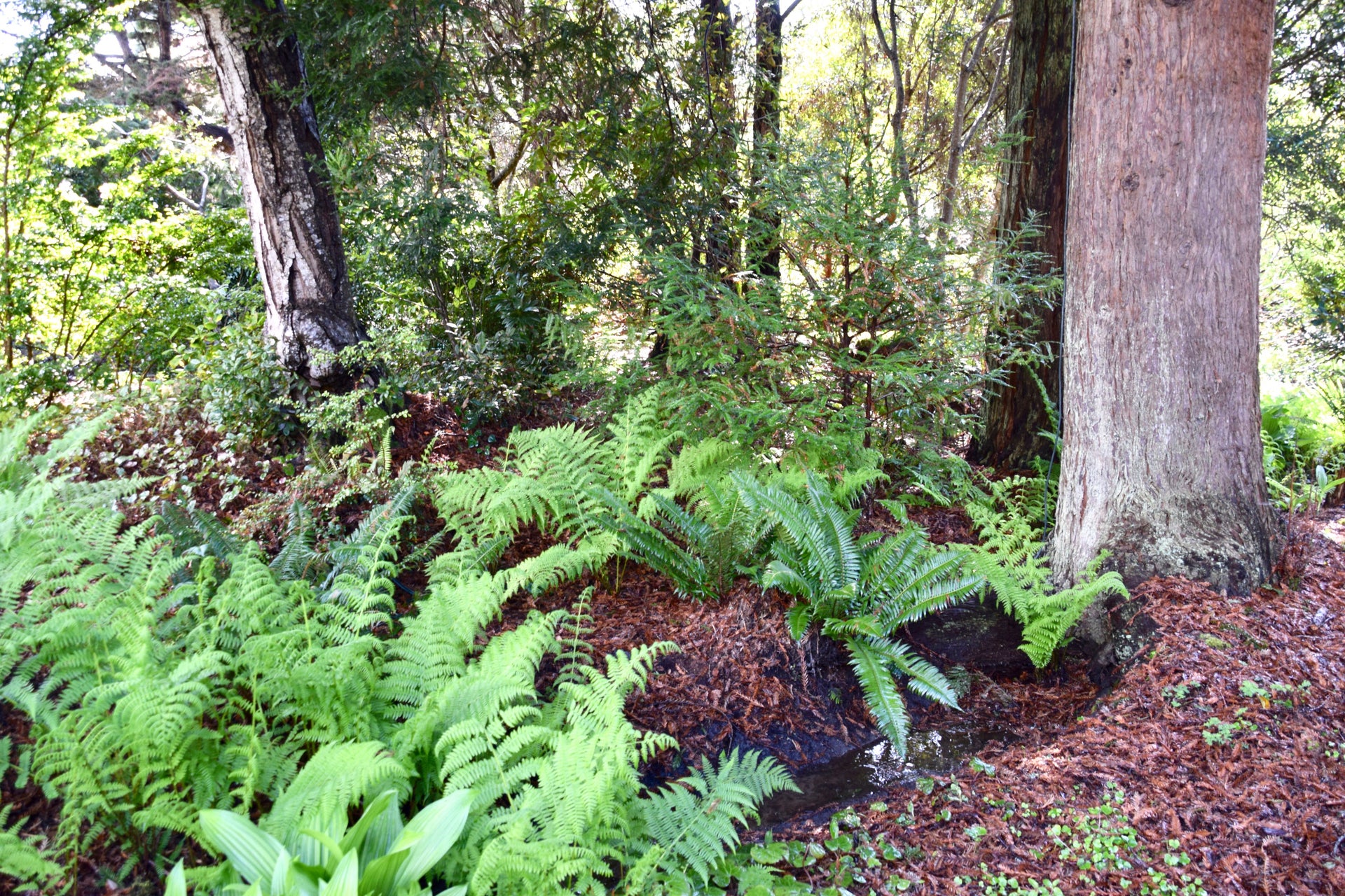 Go Beyond San Francisco: Mendocino Activities for the Whole Family ...