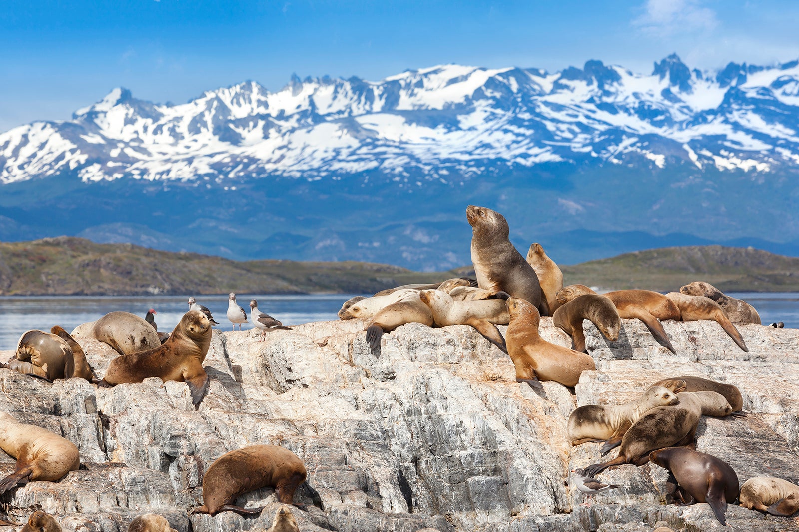 A Beginner's Guide to Argentinian Patagonia - The Points Guy