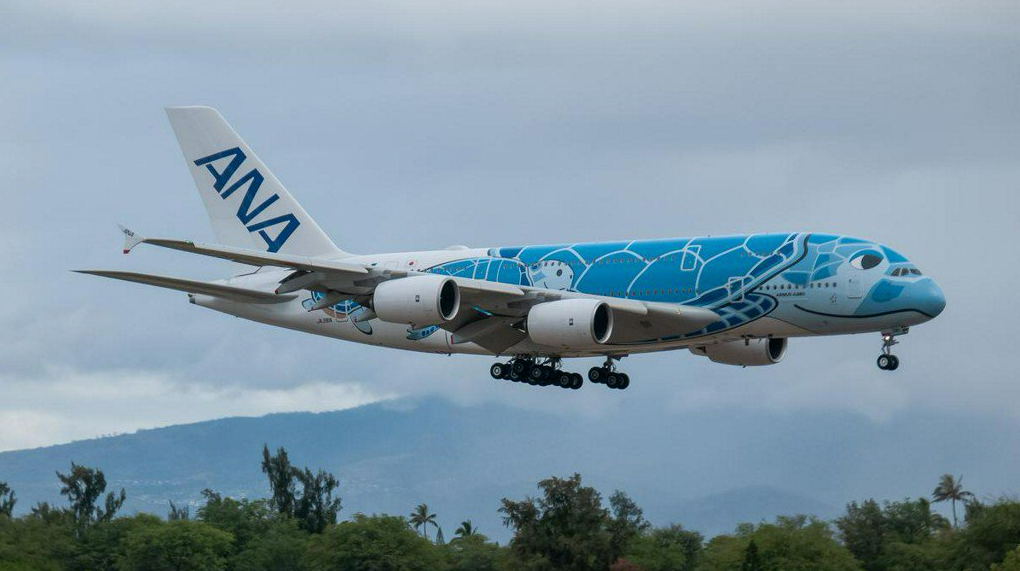 Flying Honu Touches Down in Honolulu for the First Time - The Points Guy