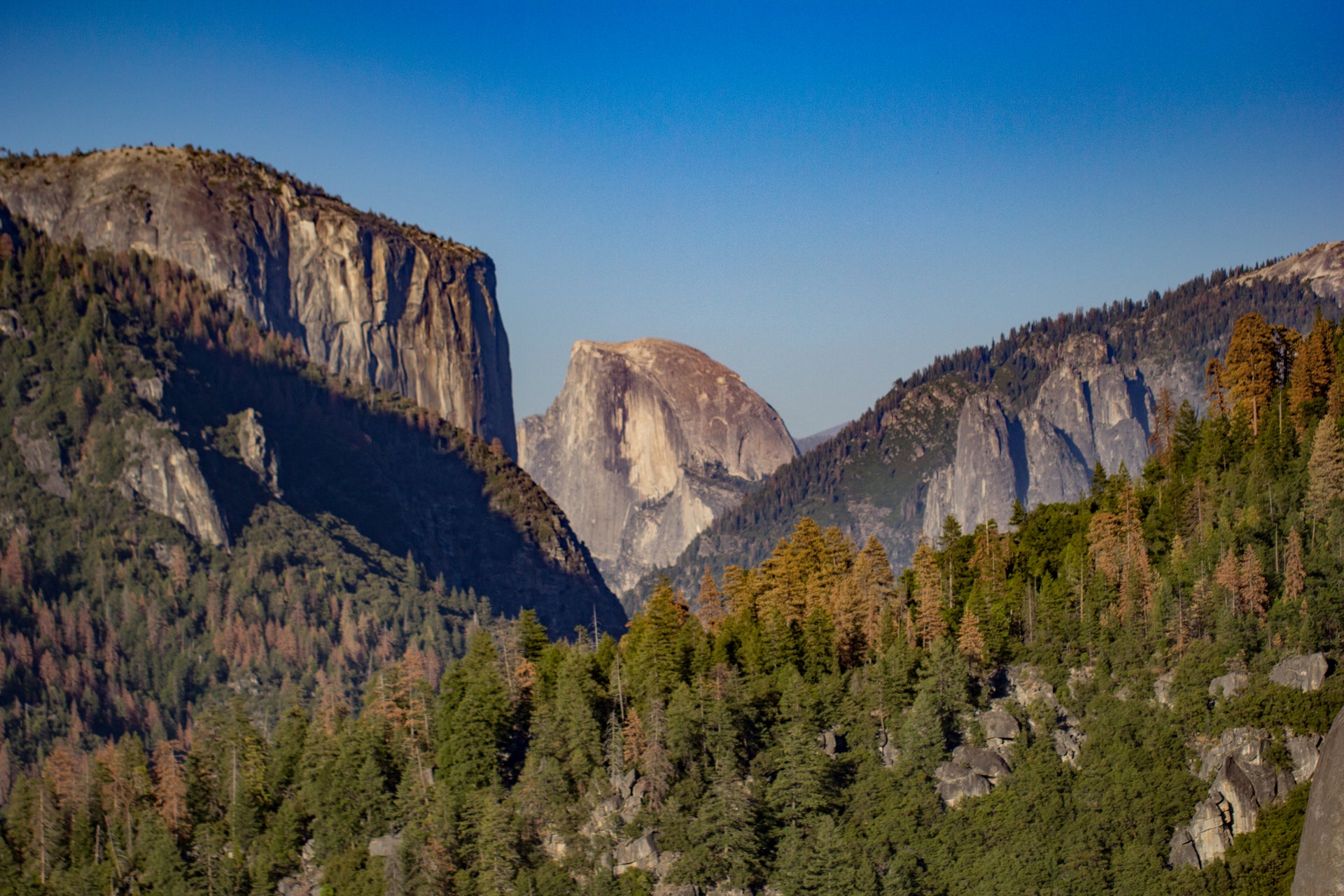 Reservation requirements and maxed-out capacity: Here’s what to know ...