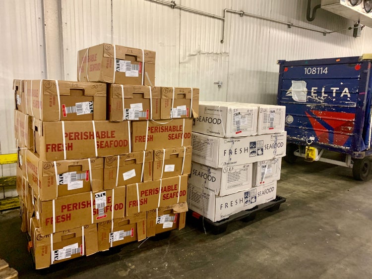 Behind the Scenes at Delta's Cargo Hub - The Points Guy