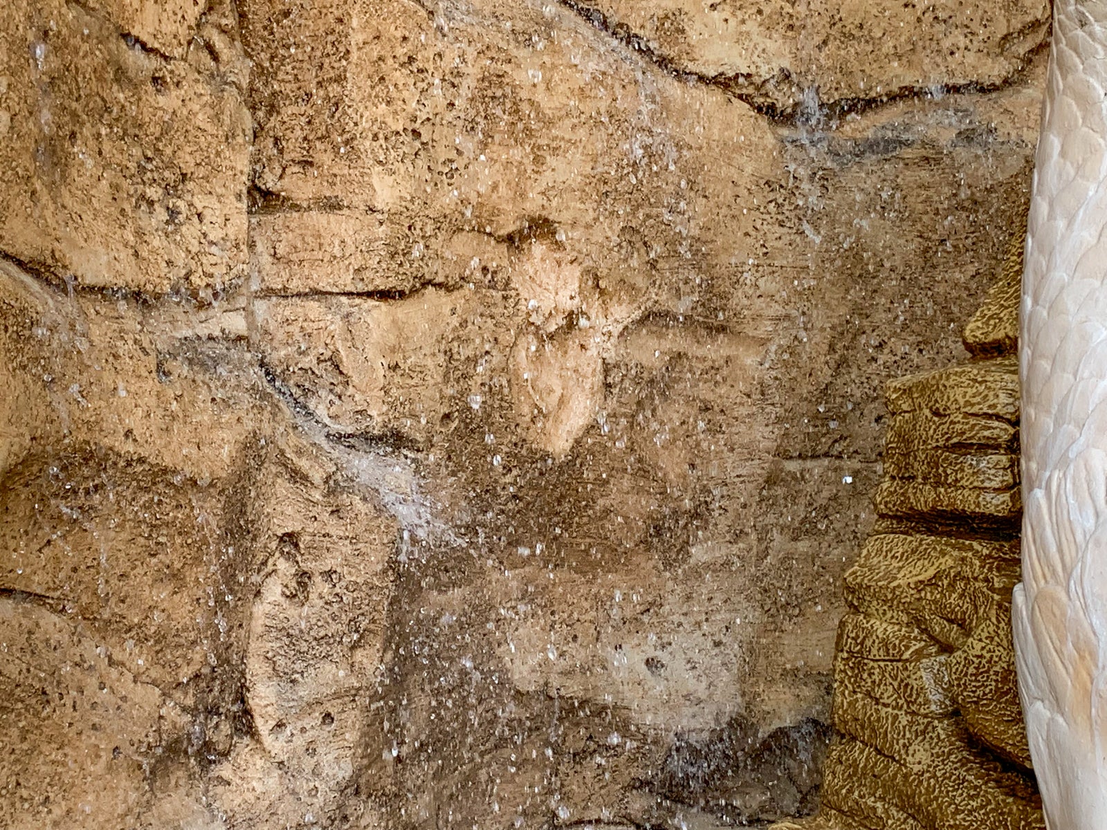 How to Find Hidden Mickeys at Disney World - The Points Guy