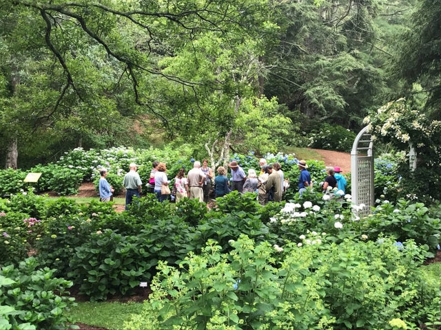 The Best Cape Cod Activities for Families - The Points Guy