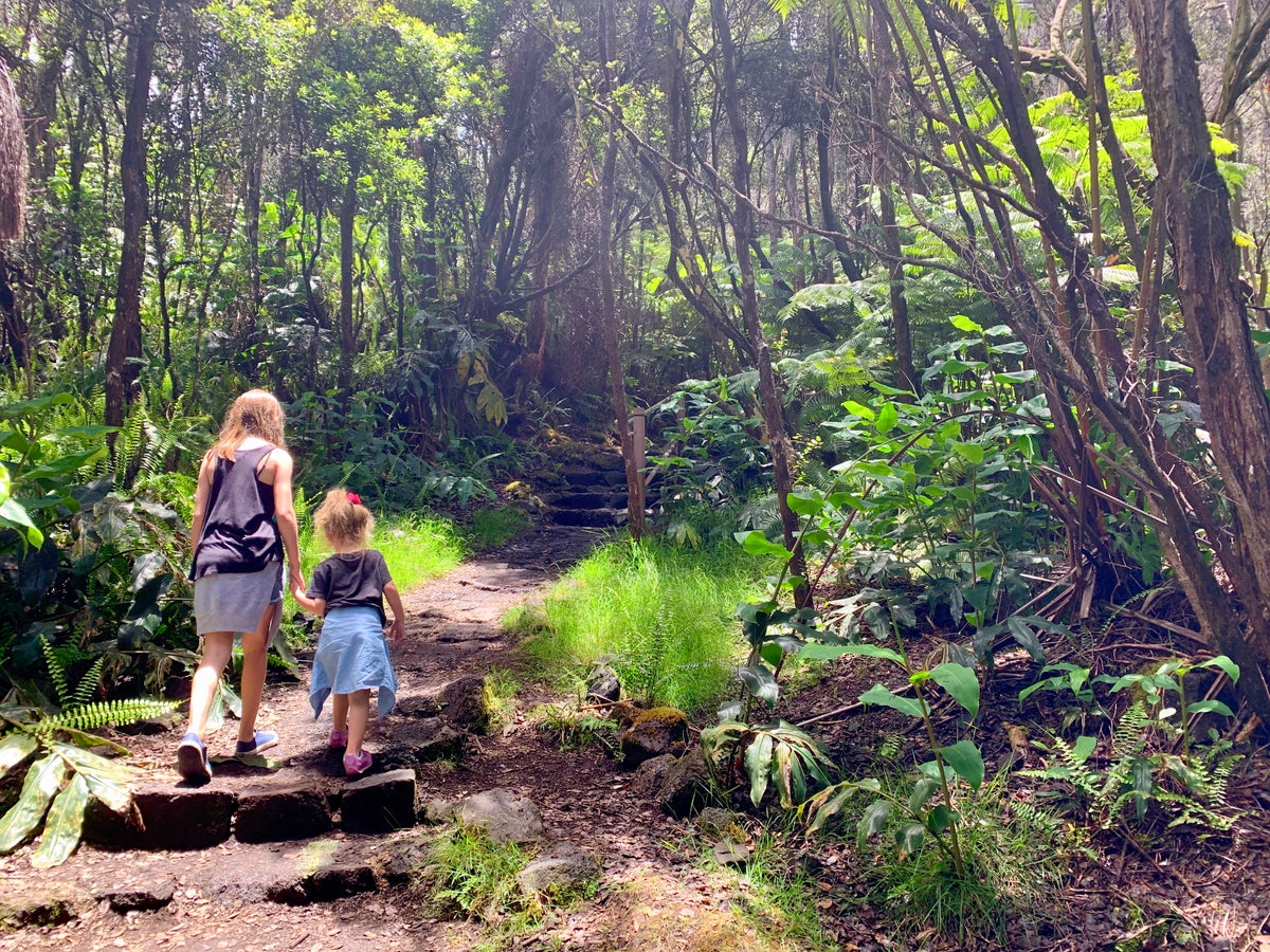 Planning the perfect visit to Volcanoes National Park - The Points Guy
