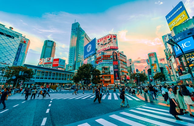 A beginner’s guide to visiting Tokyo: Everything you need to eat, see ...