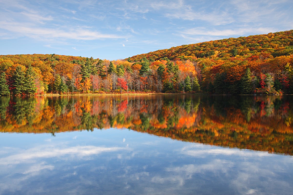 Fall is late — here's when you'll see the leaves - The Points Guy