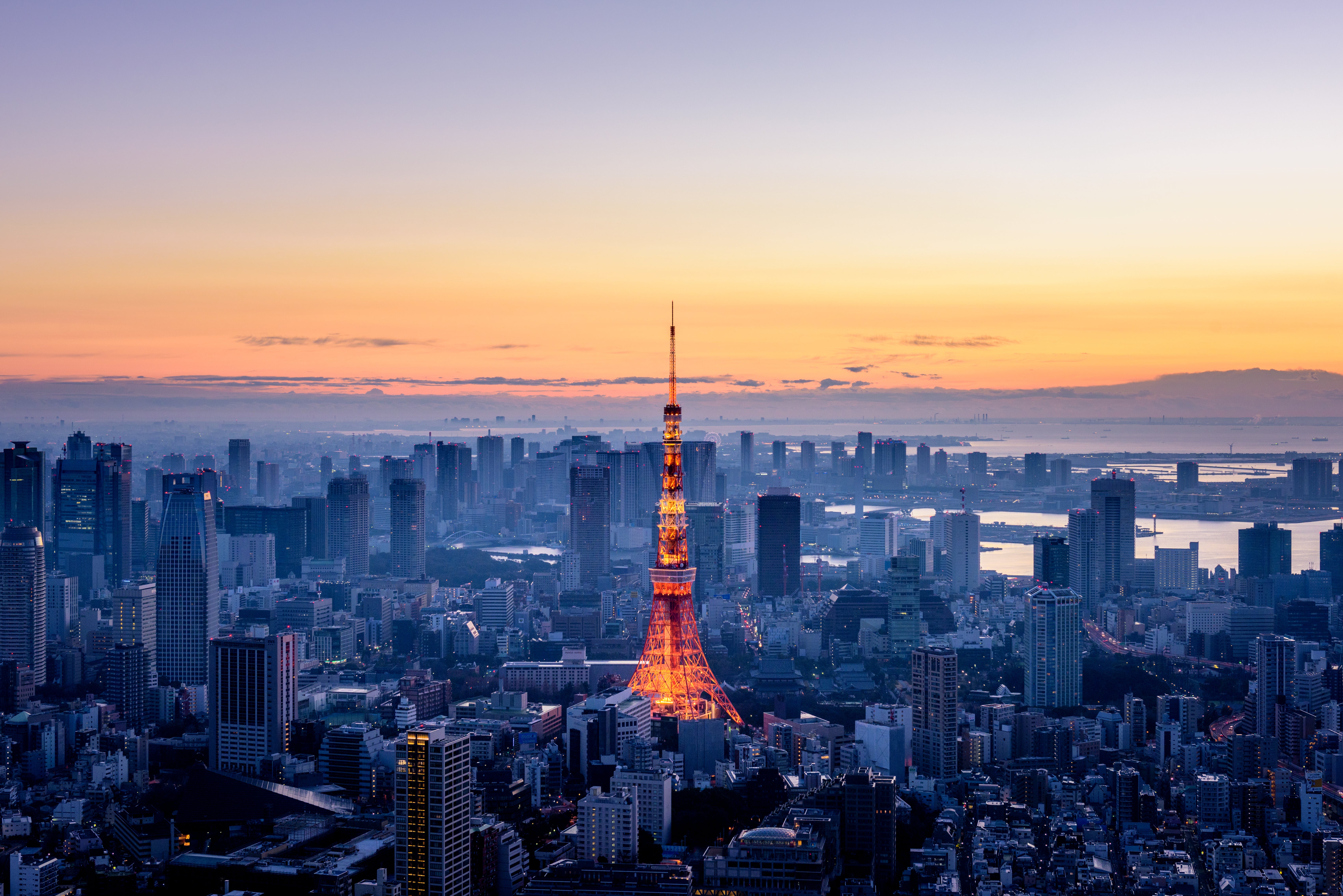 Officials Say Tokyo 2020 Olympics Cancellation Is Possible Due To Officials Say Tokyo 2020 Olympics Cancellation Is Possible Due To