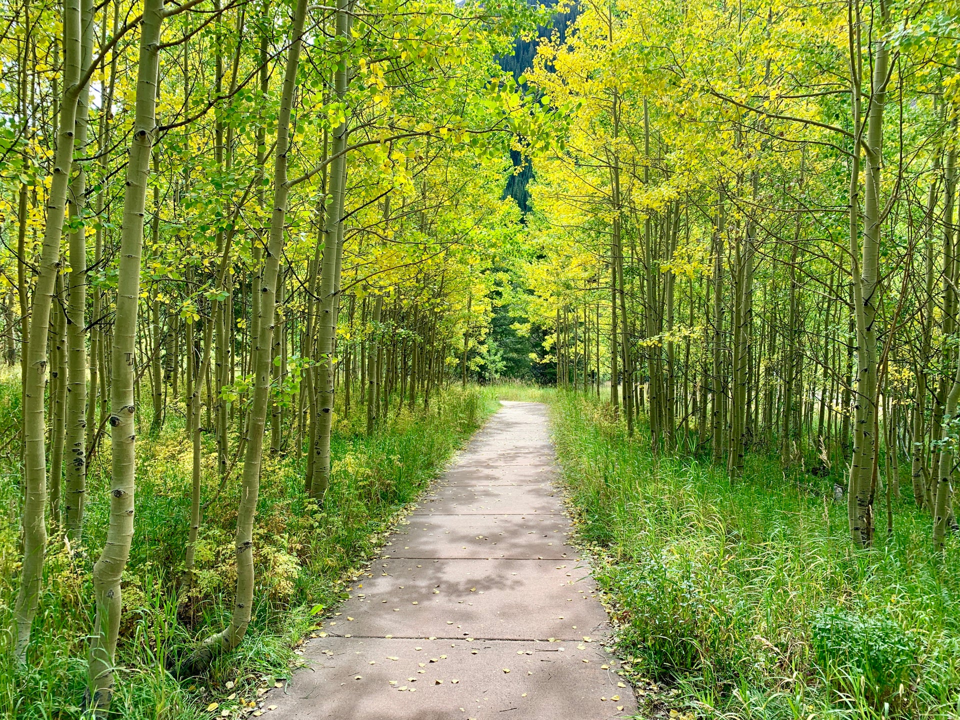 Fall is late — here's when you'll see the leaves - The Points Guy