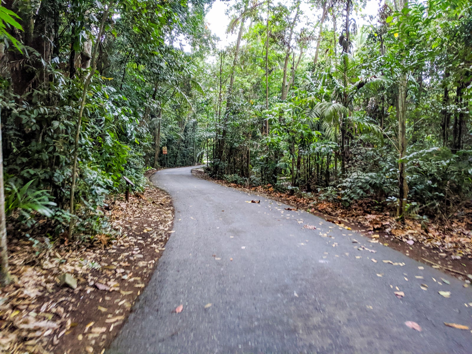 Singapore's secluded AvGeek spot is totally worth the trek - The Points Guy