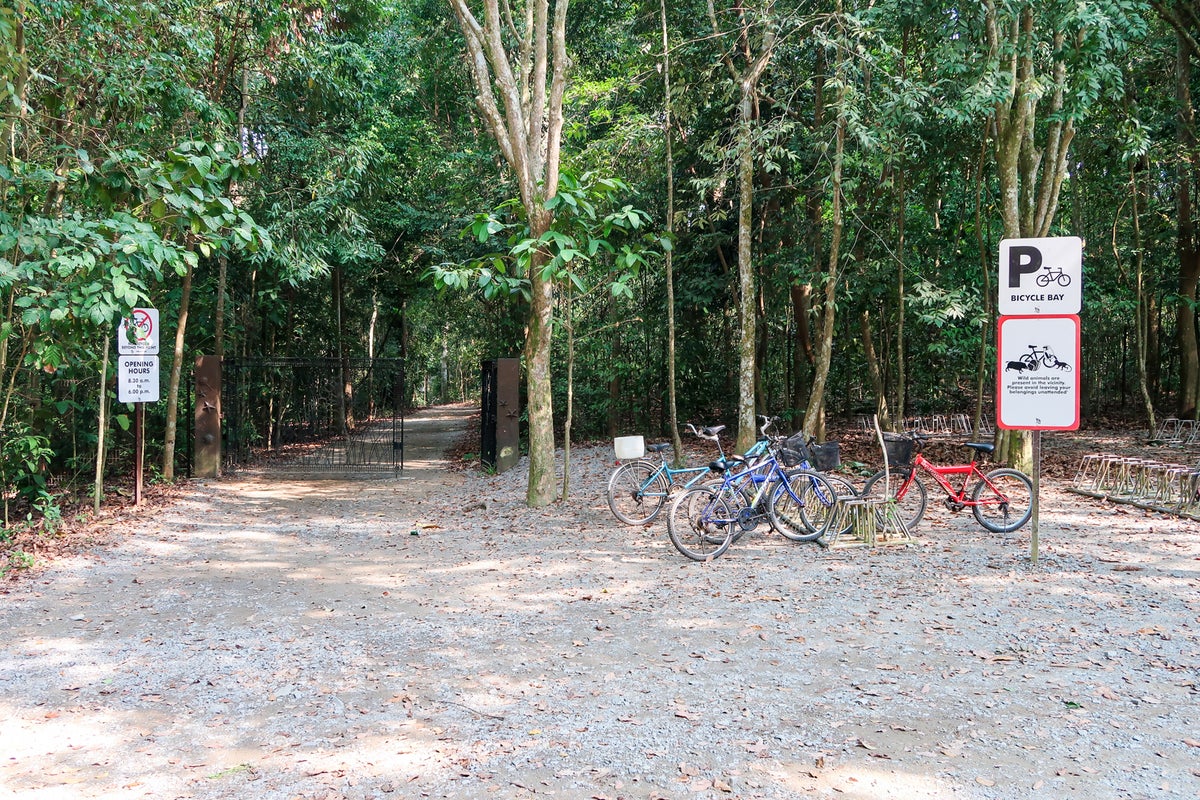 Singapore's secluded AvGeek spot is totally worth the trek - The Points Guy