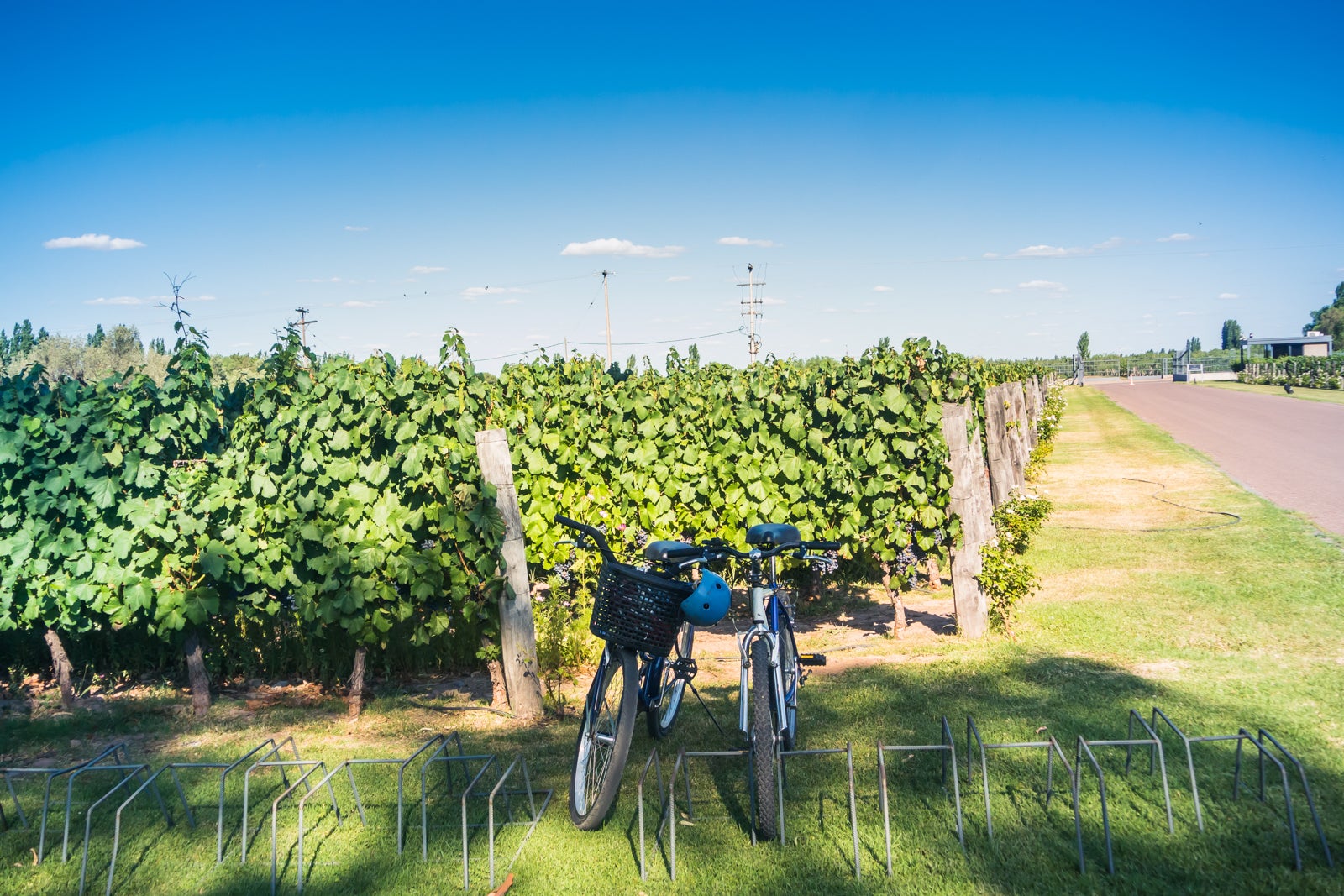 The world's craziest wine travel experiences - The Points Guy