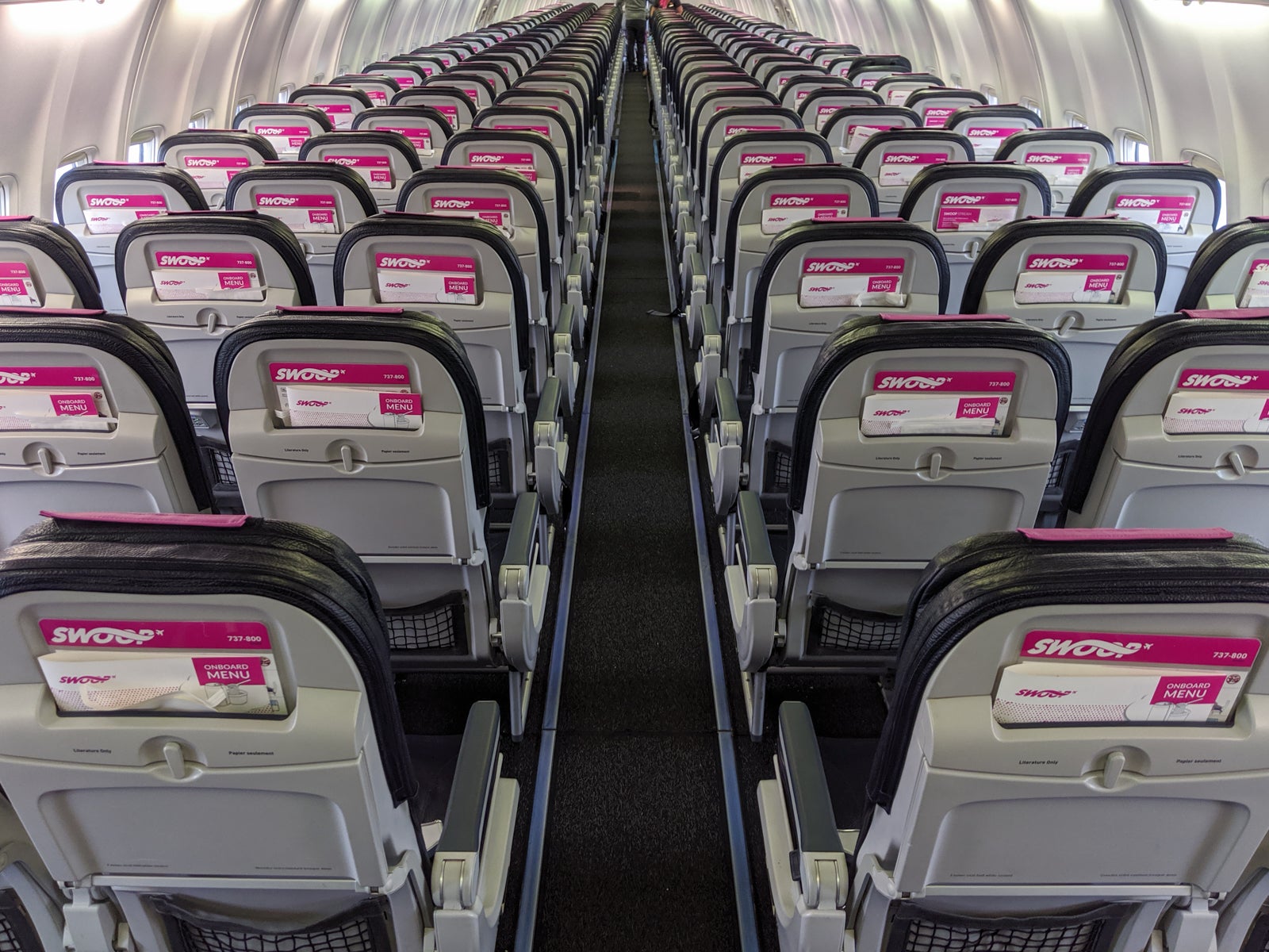 Review: Swoop 737-800 in economy from Tampa to Toronto - The Points Guy
