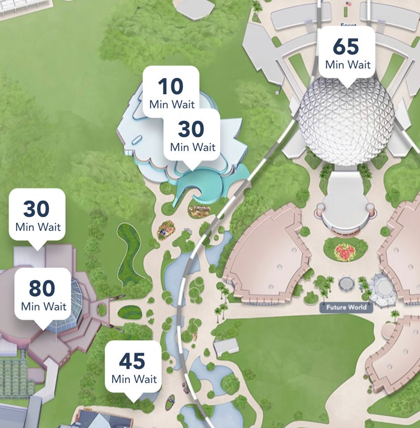 The most important thing to bring to Disney World - The Points Guy