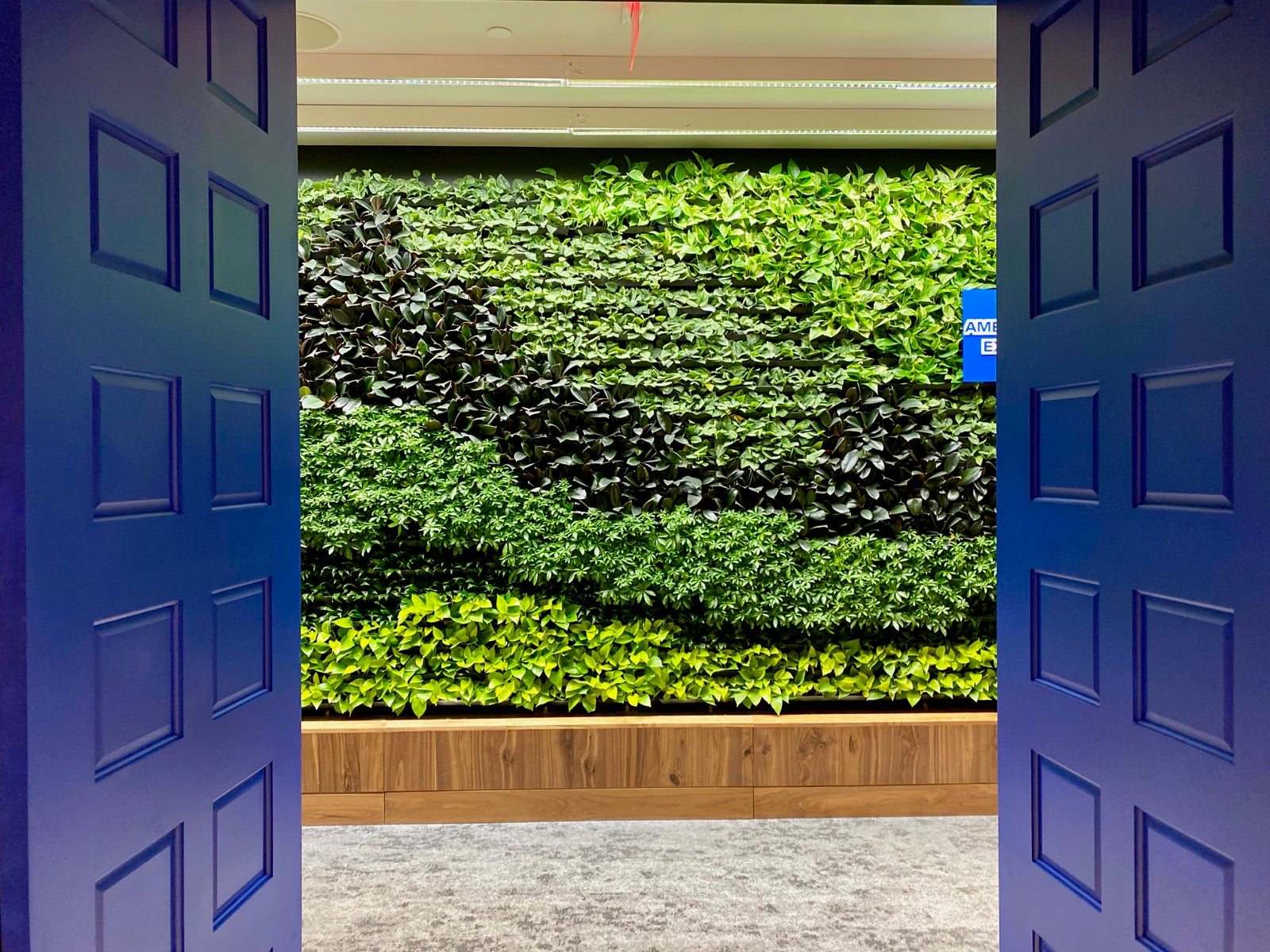 Review: Amex Centurion Lounge in Phoenix - The Points Guy