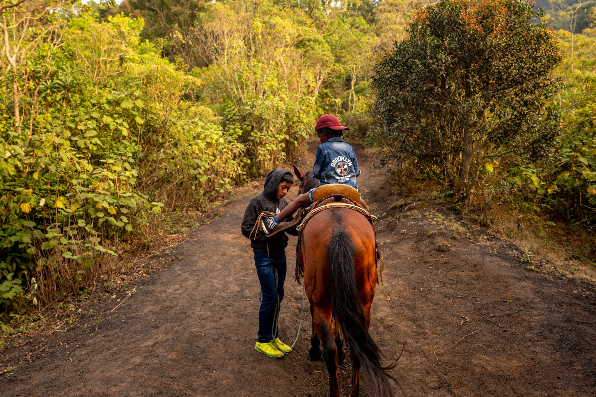 From horses to volcanic s'mores -- Why your family should visit ...