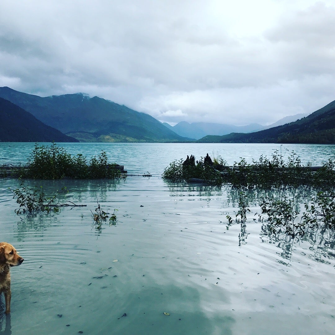 Why you should travel to Alaska now - The Points Guy